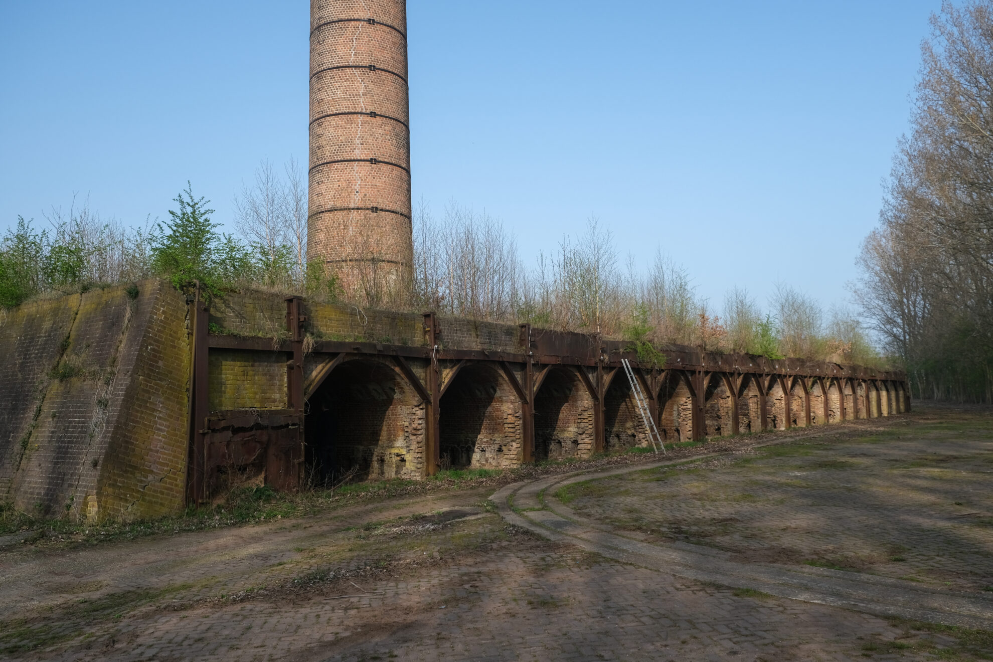 Onderhoud van het terrein - De Ooij